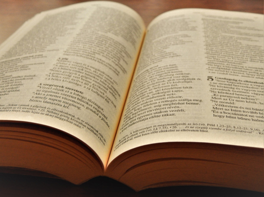 A Jó Pásztor utat mutat | Magyar Kurír - katolikus hírportál