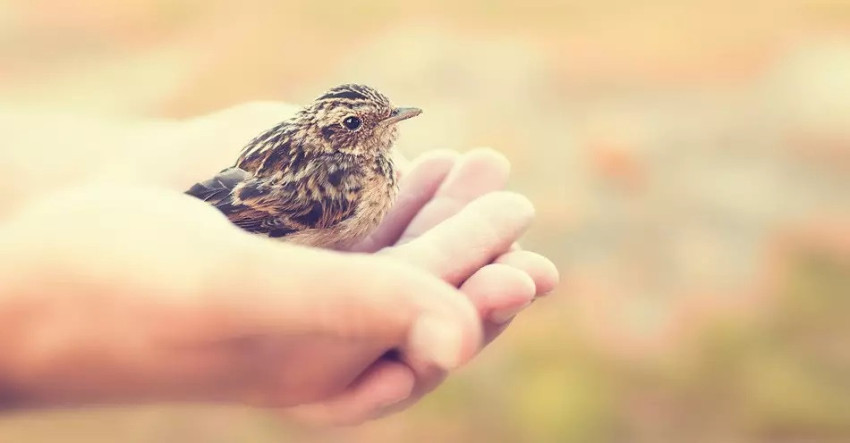 Mai evangélium – 2023. szeptember 7. | Magyar Kurír - katolikus hírportál