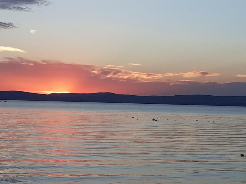 Teremtésvédelmi kalendárium – Pihen a Balaton | Magyar Kurír ...