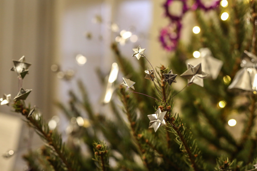 Az élet fája | Magyar Kurír - katolikus hírportál